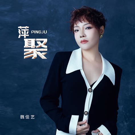 萍聚魏佳艺高音质在线试听萍聚歌词歌曲下载酷狗音乐