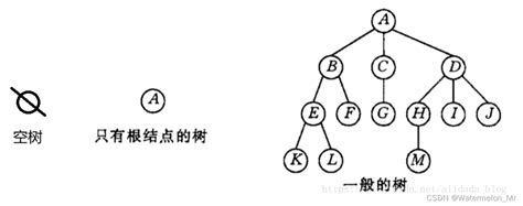 数据结构 二叉树 csdn博客