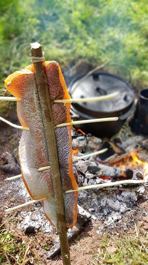 James Dickson And Songuest Blog Alison Henderson Cooking Fish Outdoors