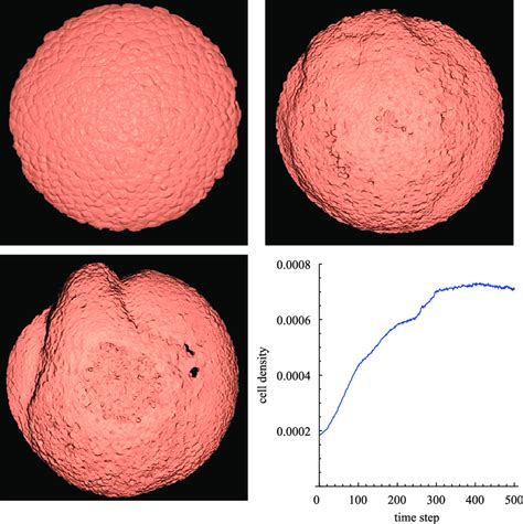 Computation Of The Global Cell Density Top And Bottom Left Segmented