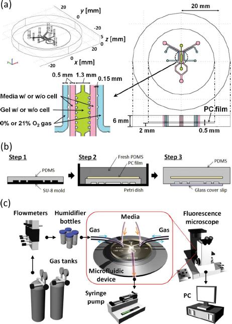 Microfluidic Device And Experimental Setup A The Design And