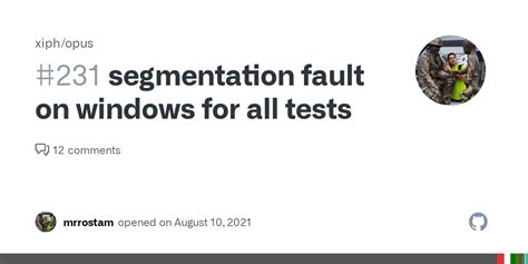 Segmentation Fault On Windows For All Tests Issue Xiph Opus