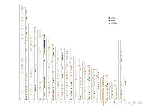在线画图工具画最美染色体，就要用这个新工具 今天被cran接收 Csdn博客