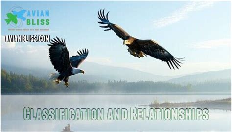 Golden Eagle Vs Bald Eagle Key Differences Complete Guide 2025