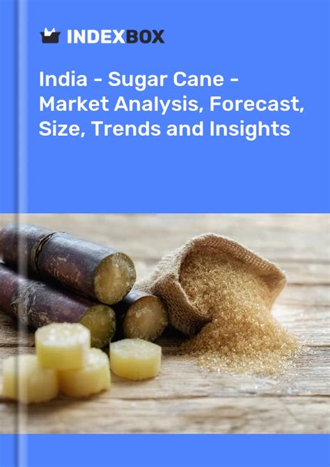 Sugar Cane Price In India 2025 Charts And Tables Indexbox