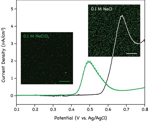 Linear Sweep Voltammograms Of 1 1 Fc‐c11sh C12sh Mixed Sams Probed In
