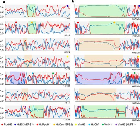 A Chromosome Conformation Capture Ordered Sequence Of The Barley Genome Plantae