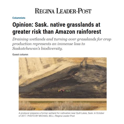 Sask Native Grasslands At Greater Risk Than Amazon Cpaws Saskatchewan