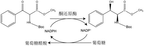 一种酮还原酶在维贝格龙中间体生产中的应用