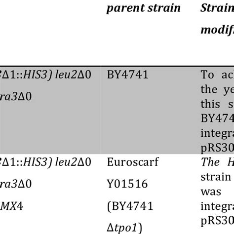 Yeast Strain Genotypes Download Table