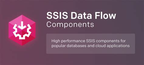 SSIS Data Flow Components Reviews In 2025