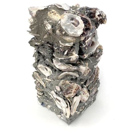 Marine Environment Substrates For Research REEF DESIGN LAB