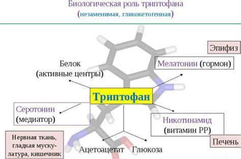 L-Триптофан - Купити Л Триптофан (L-Tryptophan) в Україні