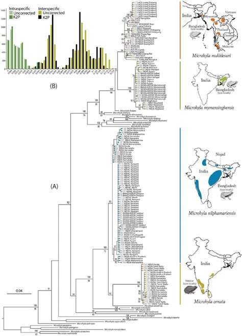 Dna Barcoding Based On Mitochondrial 16s Rrna Gene Sequences 540 Bp
