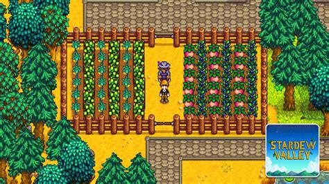 Stardew Valley Best Crops To Farm In The Fall Gamer Empire