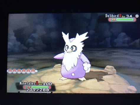 6 Shiny Delibird Appears At Only 26 Dexnav Encounters Rshinypokemon