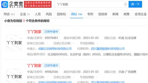 旅美大熊猫 丫丫”专机已降落上海， 丫丫到家”被抢注商标凤凰网视频凤凰网