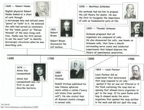 Cell Theory A Brief History Timeline Timetoast Timelines Famous
