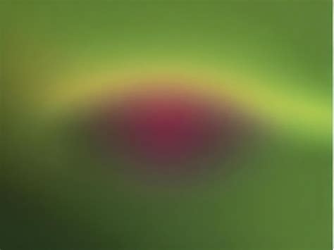 Green Filter Pictures