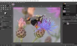 How To Select Color In GIMP Quick Tips Guides