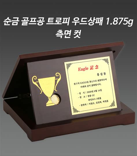 순금 반돈 홀인원패 골드초이스