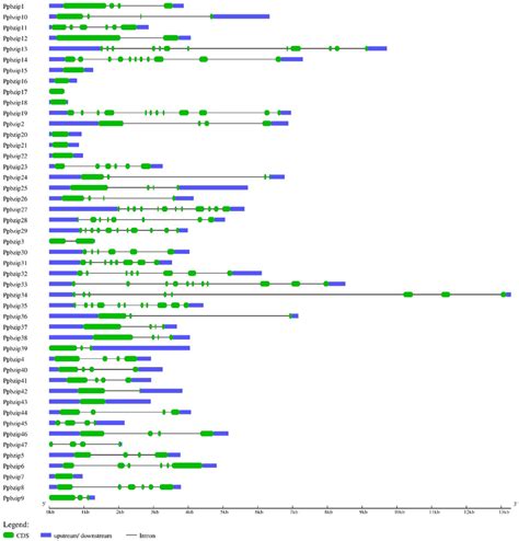 Genomic Structure Exonintron Organization Of Peach Bzip Genes Was