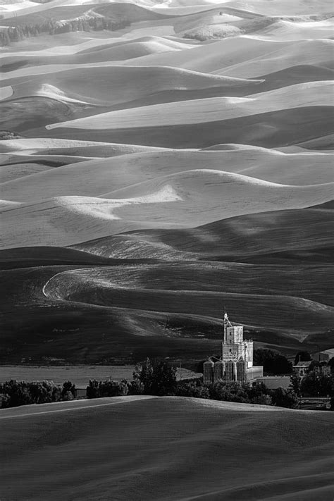 Palouse Fields Photograph By Shirley Ji Fine Art America