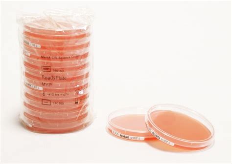 Readyplate Myp Iso 7932 21871fda Bam 146160