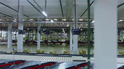 Ozon Company Warehouse with Conveyer Which Moves Stock Video - Video of ...