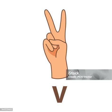문자 V 수화 알파벳 벡터 삽화를 보여주는 손 다른 위치에있는 손가락 청각 장애인의 언어 가리키기에 대한 스톡 벡터 아트 및 기타 이미지 Istock