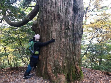 甑岳登山～白鳥山経由 やまねこハイカーズ