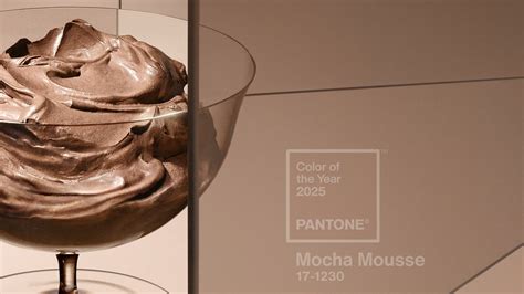 팬톤 올해의 컬러 2025 모카 무스 Mocha Mousse 17 1230