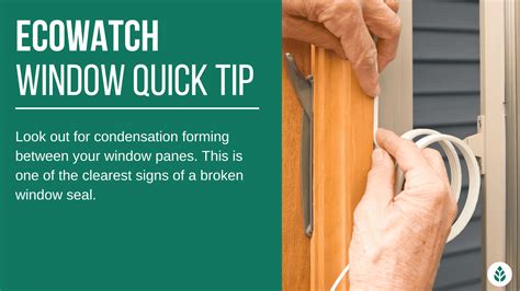 Window Seal Repair Identifying Fixing Broken Window Seals 2025 Guide
