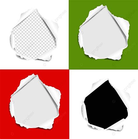 Hole Torn Paper Set Isolated Background Bright Ripped Scroll Vector