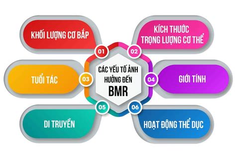 Bmr Là Gì Ý Nghĩa Và Cách Tính Bmr Chuẩn