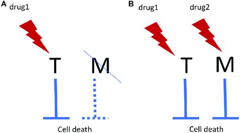 Oncogene Addictionsynthetic Lethality And Matching Targets A In