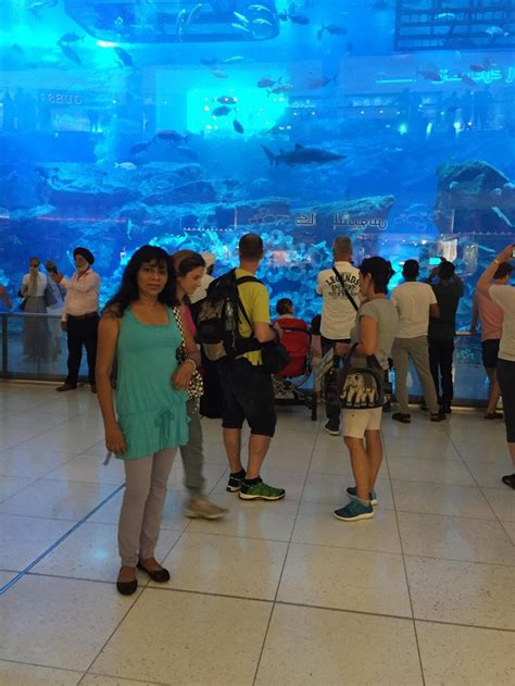 Jeevani Hasantha Posted On Linkedin