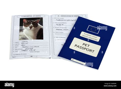Pet Passport Fotos Und Bildmaterial In Hoher Auflösung Alamy