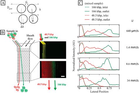 High Throughput Separation Of Long Dna In Deterministic Lateral