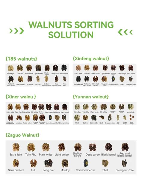 Ai Intelligent Walnut Sorting Machine Colour Sorting Machine