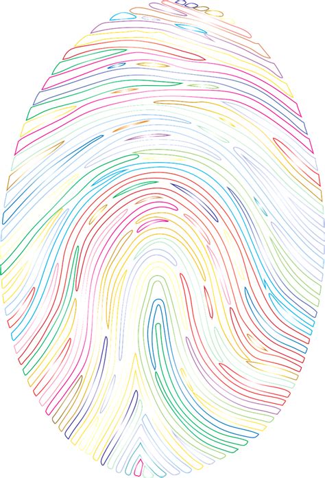 Download Fingerprint Pattern Unique Royalty Free Vector Graphic Pixabay
