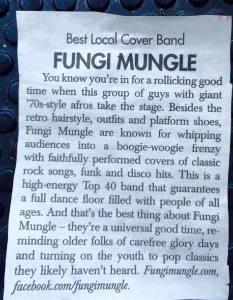 Hire Fungi Mungle Disco Band In El Paso Texas