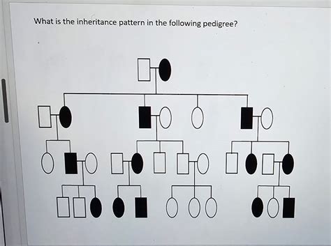 What Is The Inheritance Pattern In The Following Chegg