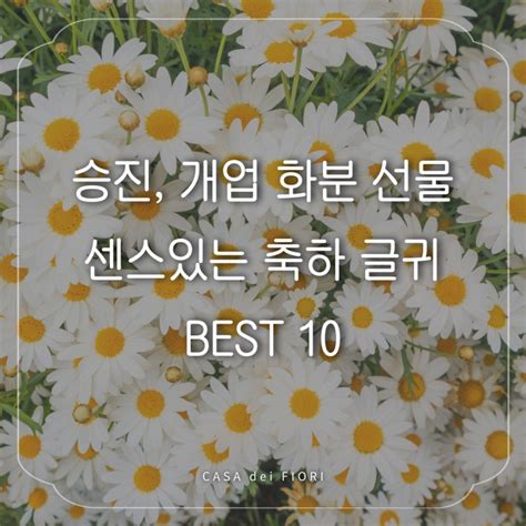 직장 상사 승진 영전 인사발령 개업 축하 화분 선물 메세지 센스있는 감동적인 문구 글귀 Best 10 네이버 블로그