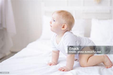 귀여운 웃는 소년은 집에서 하얀 침대에서 기어 다니는 법을 배우고 작은 금발 아기는 아침에 일어났고 행복한 어린 시절과 가족 6