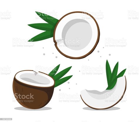 흰색 배경에 격리 된 세 가지 유형 벡터 일러스트레이션의 코코넛 세트 갈색에 대한 스톡 벡터 아트 및 기타 이미지 갈색