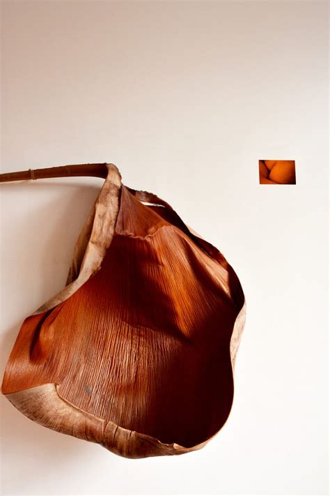 Naked Nature Experiments In My Studio Marije Ter Weele