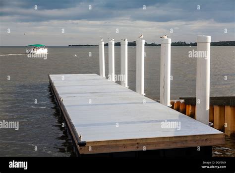 Floating Dock With Pvc Wrapped Pilings And Tour Boat With Green Canopy Motoring Beyond Stock