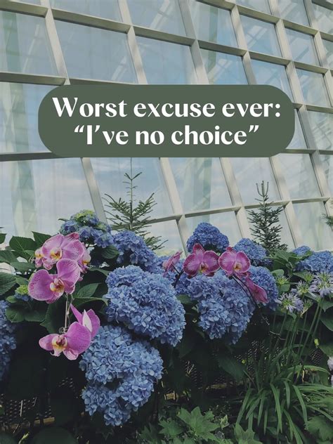 We Should Totally Ban This Phrase 🏻🛑🚩 Gallery Posted By Bande Lemon8