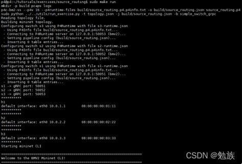 p4 tutorials source routing csdn博客